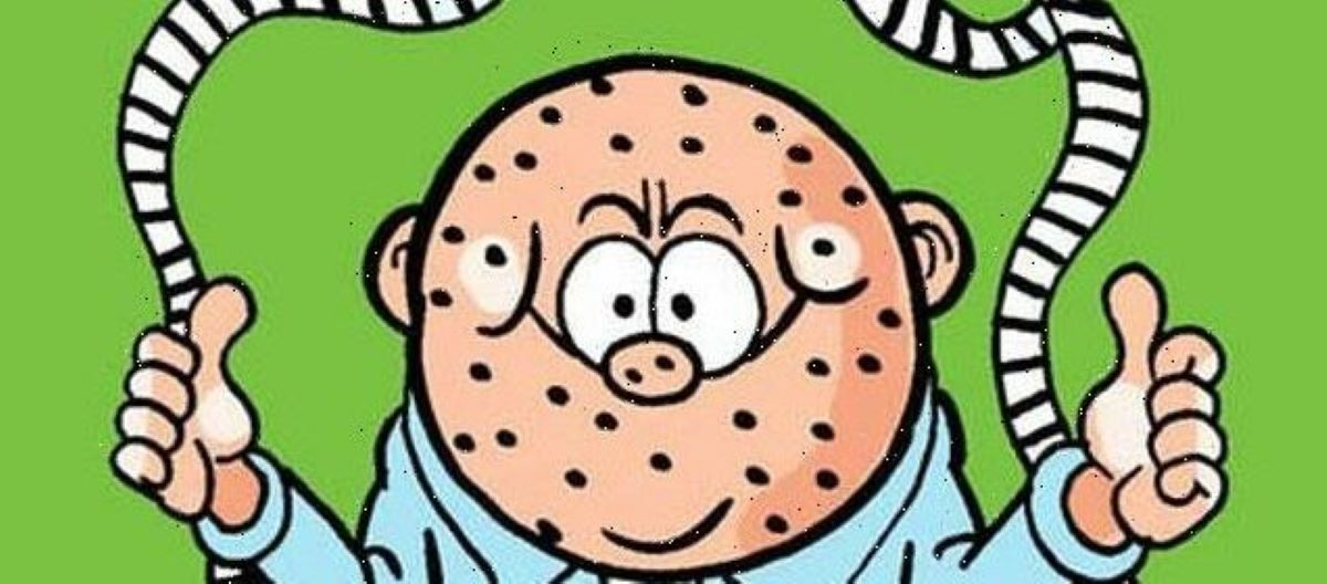diary of a pimply kid: memories of the late 60s & 70s – Focus on the Trees.