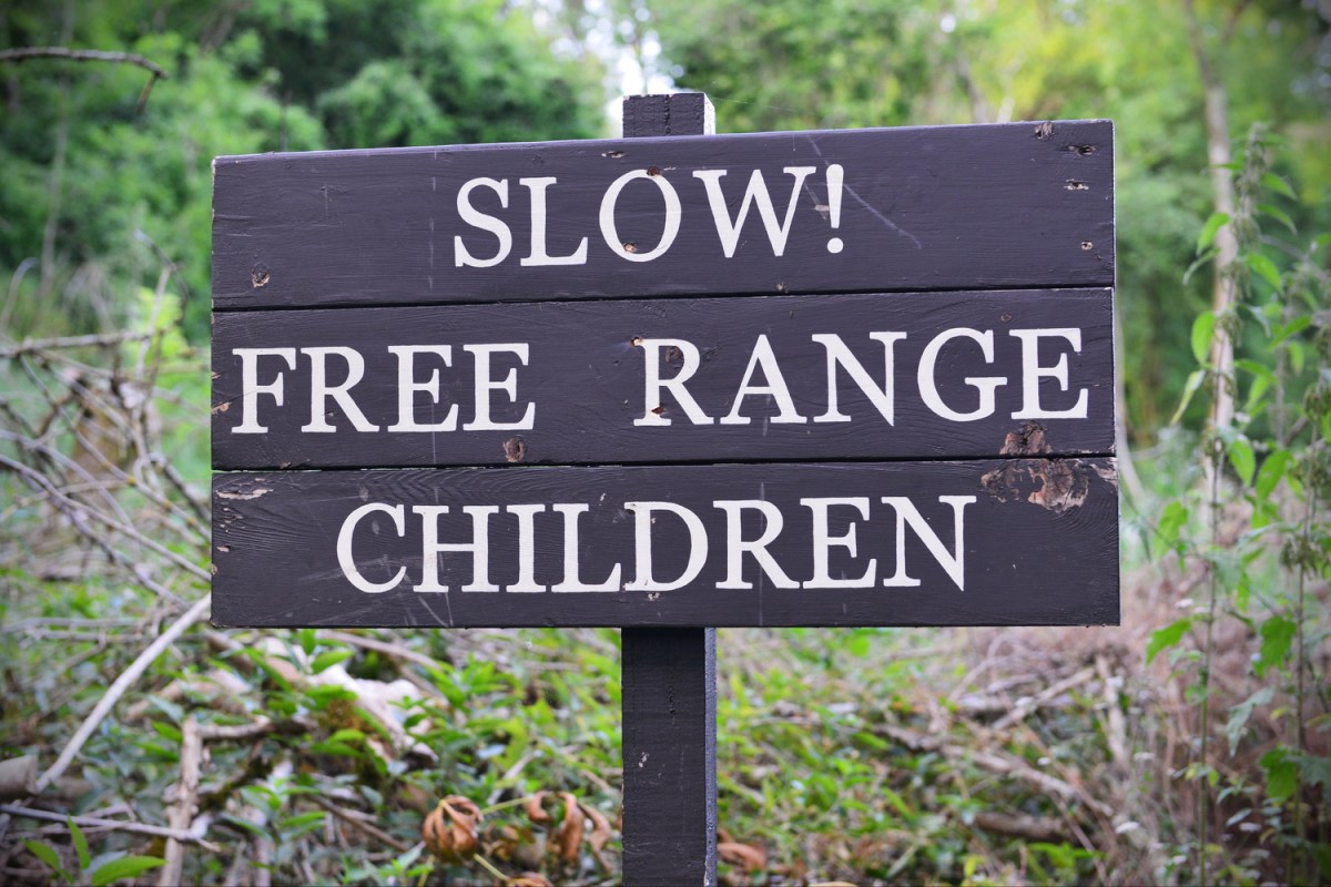 free-range kids.